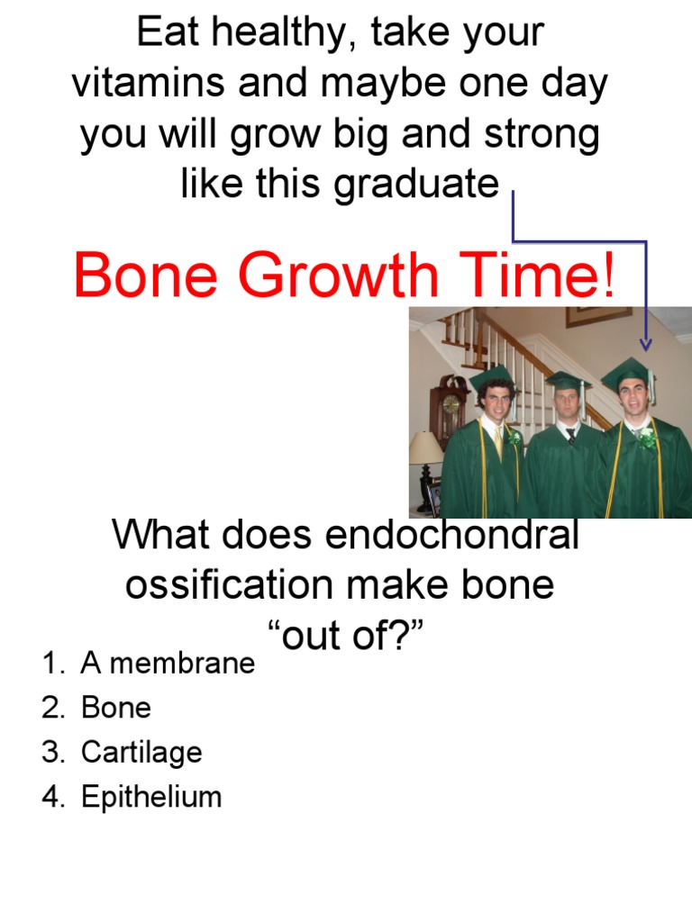 Bone Development Andbone Growth-0 | PDF | Bone | Osteoblast