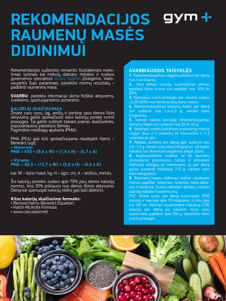 Mitybos Planas Raumenu Mase | PDF