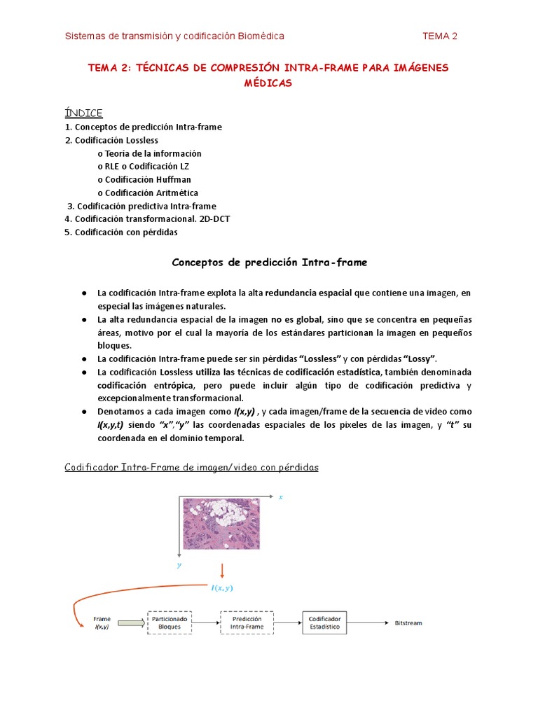 Compresión Intra-frame en Imágenes Médicas | PDF | Matriz (Matemáticas ...