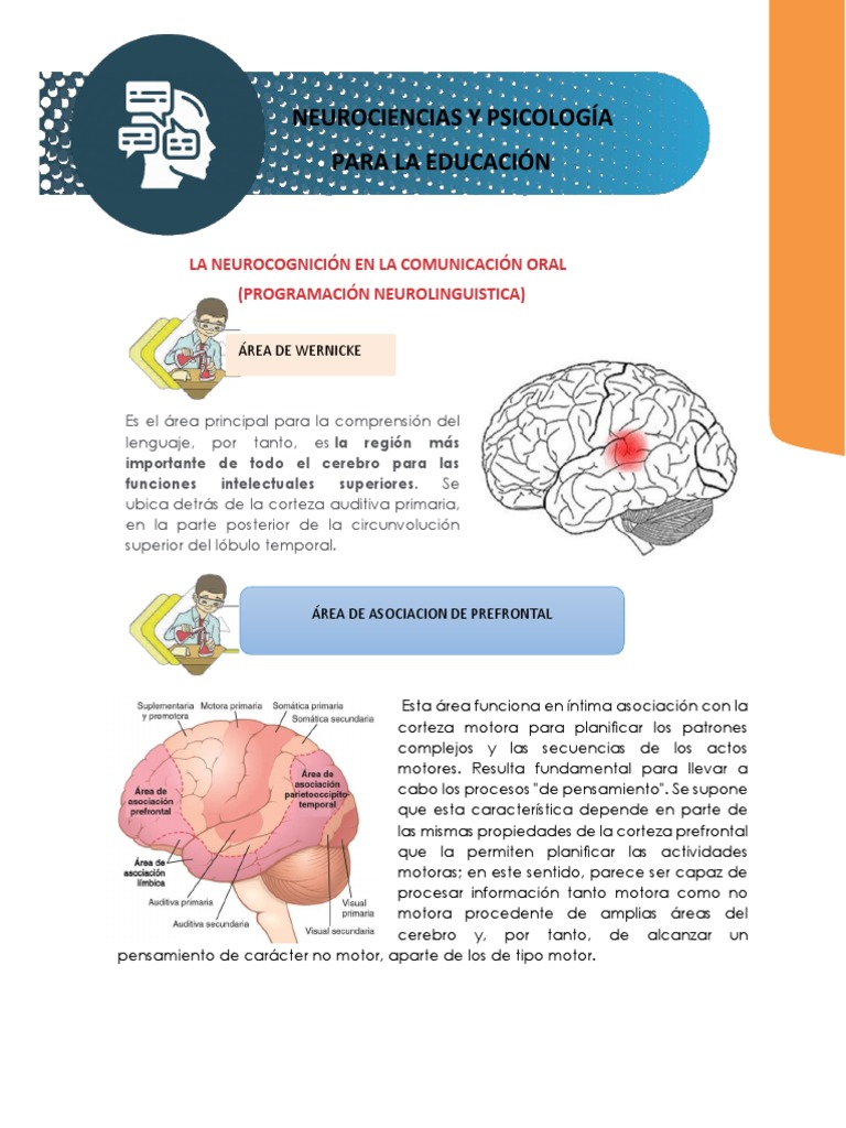 NEUROLINGUISTICA Nayda | PDF | Afasia | Lóbulo temporal