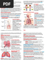 Triptico Sistema Respiratorio | PDF | Pulmón | Sistema respiratorio