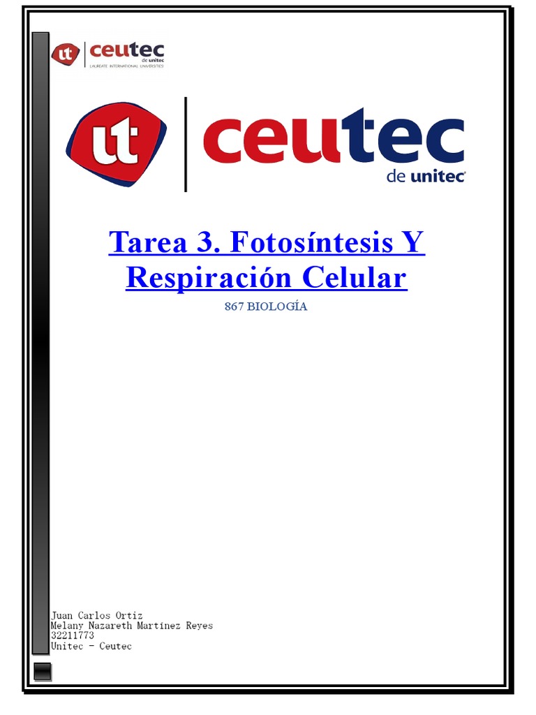 Tarea 3. Fotosintesis y Respiracion Celular | PDF | Respiración celular ...