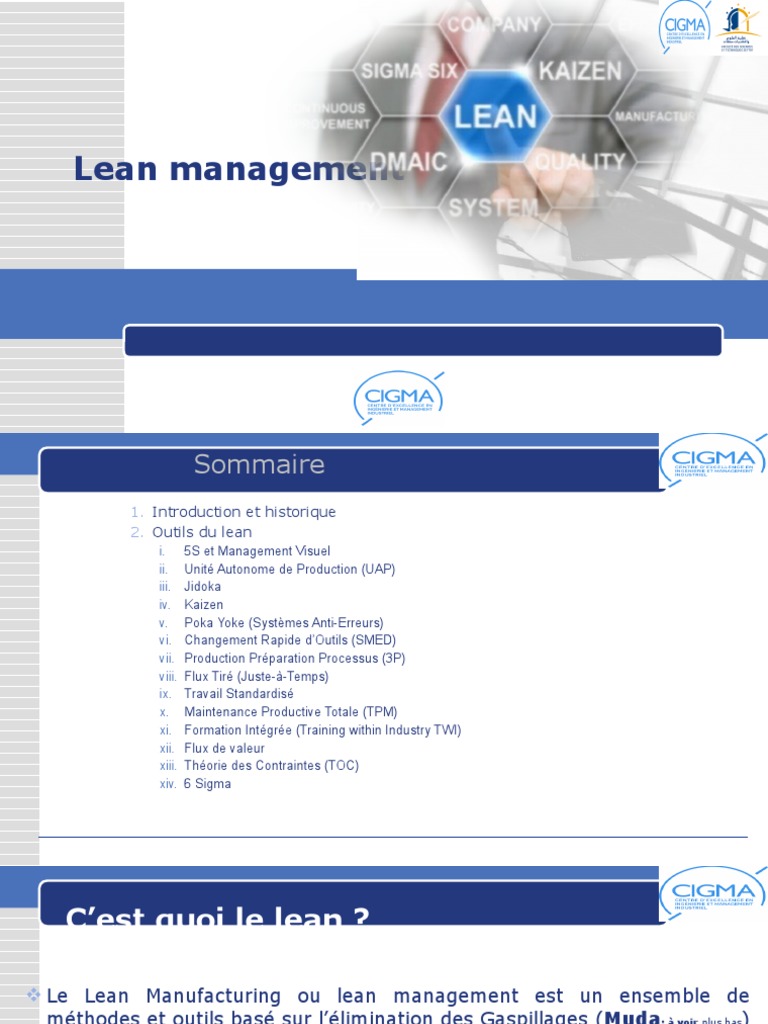 Pre Lean Management | PDF | Lean (production) | Six Sigma