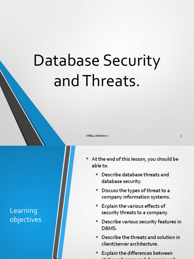 Security and Threats | PDF | Databases | Security