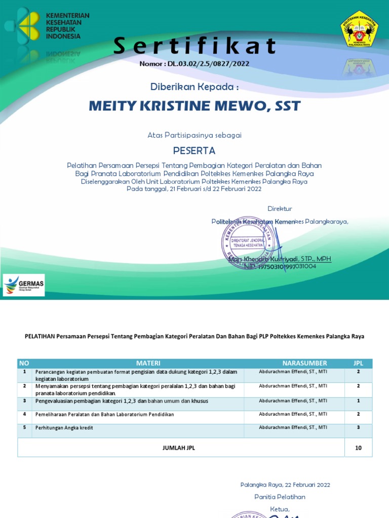 E Sertifikat Meity | PDF