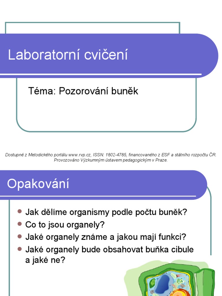 Laboratorni Cviceni - Pozorovani Bunek V Pokozce Cibule | PDF