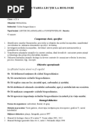 Pronumele de Intarire | PDF
