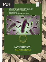 Clasificación de Las Bacterias Acido Lácticas (BAL | PDF | Ácido ...