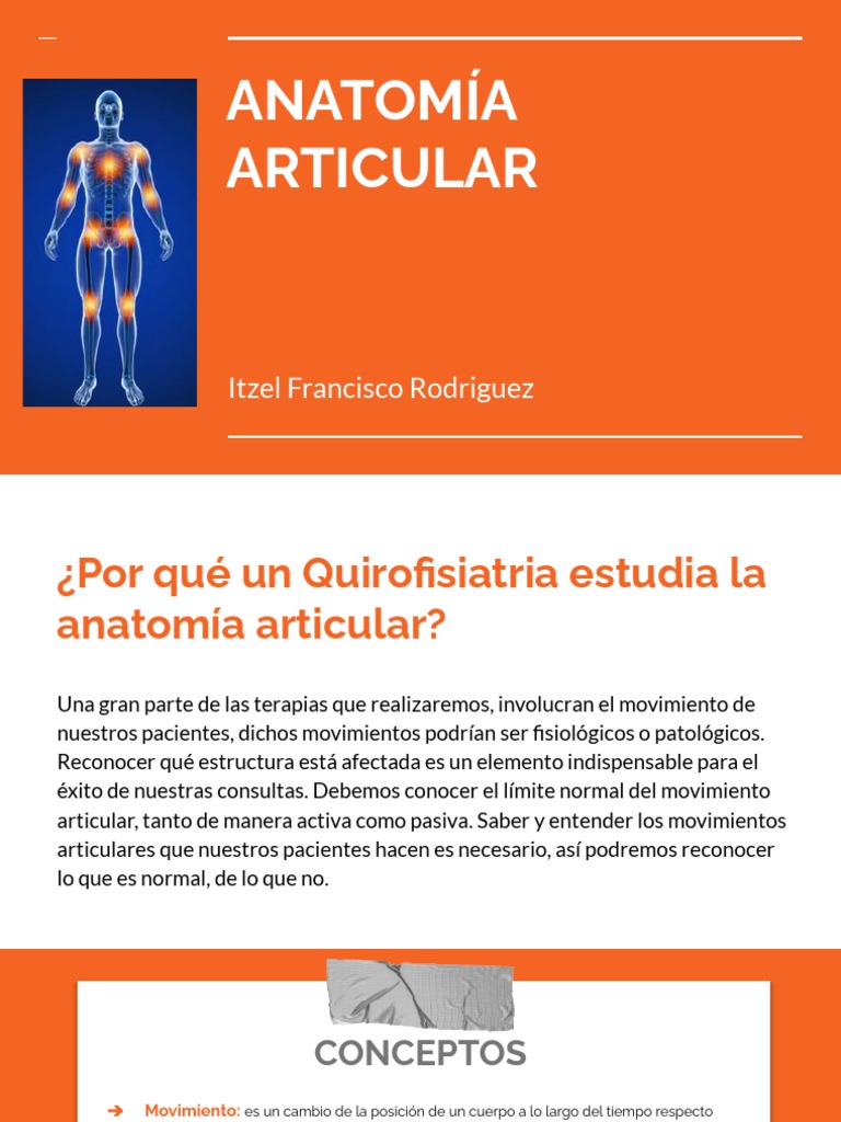 Anatomía Articular | PDF | Articulación | Sistema esquelético
