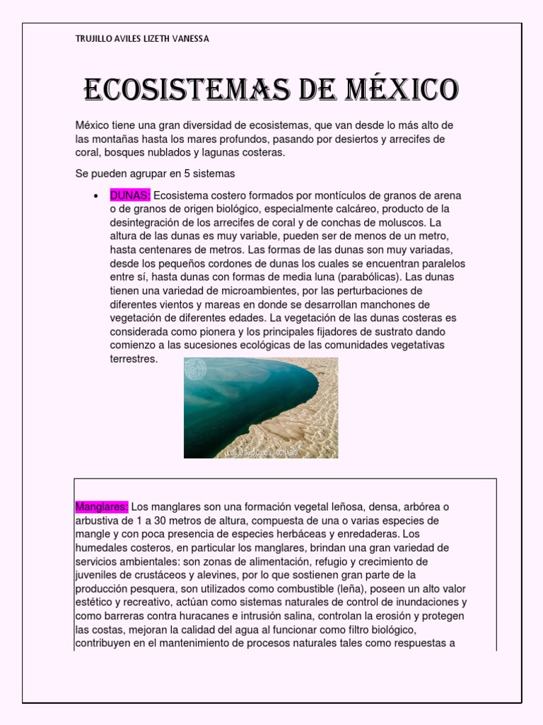 Ecosistemas de México | PDF | Isla | Mangle