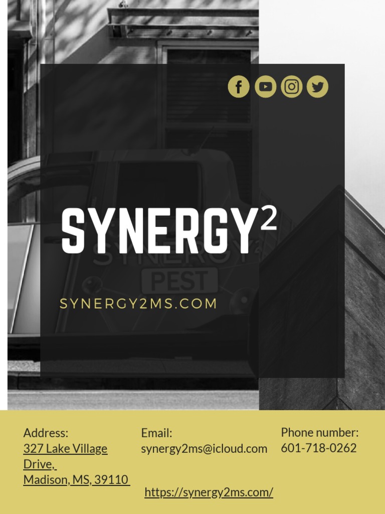 Synergy | PDF