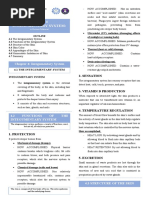 Integumentary System Notes | PDF | Skin | Epidermis