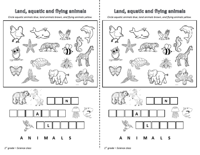 3-Animal Types | PDF