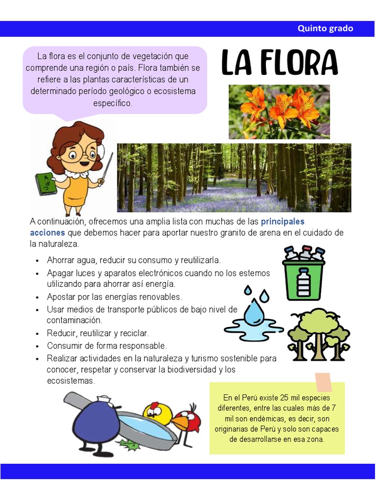 La importancia de la flora y las acciones para cuidar la naturaleza | PDF
