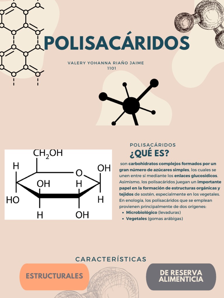 Polisacáridos Química | PDF | Polisacárido | Carbohidratos