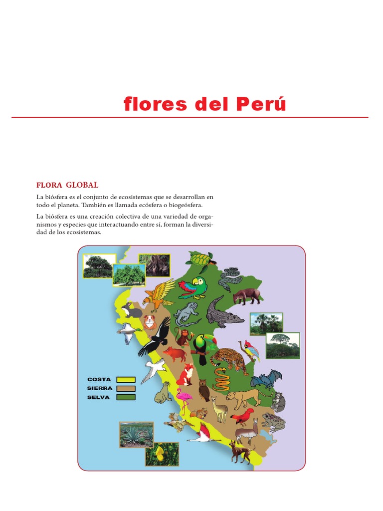 Mapa de Flora y Fauna del Perú | PDF | Organismos | Ciencias de la Tierra