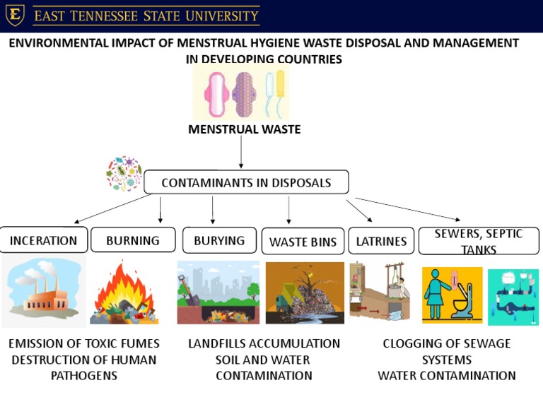 Environmental Impact of Menstrual Hygiene Waste Disposal and Management ...
