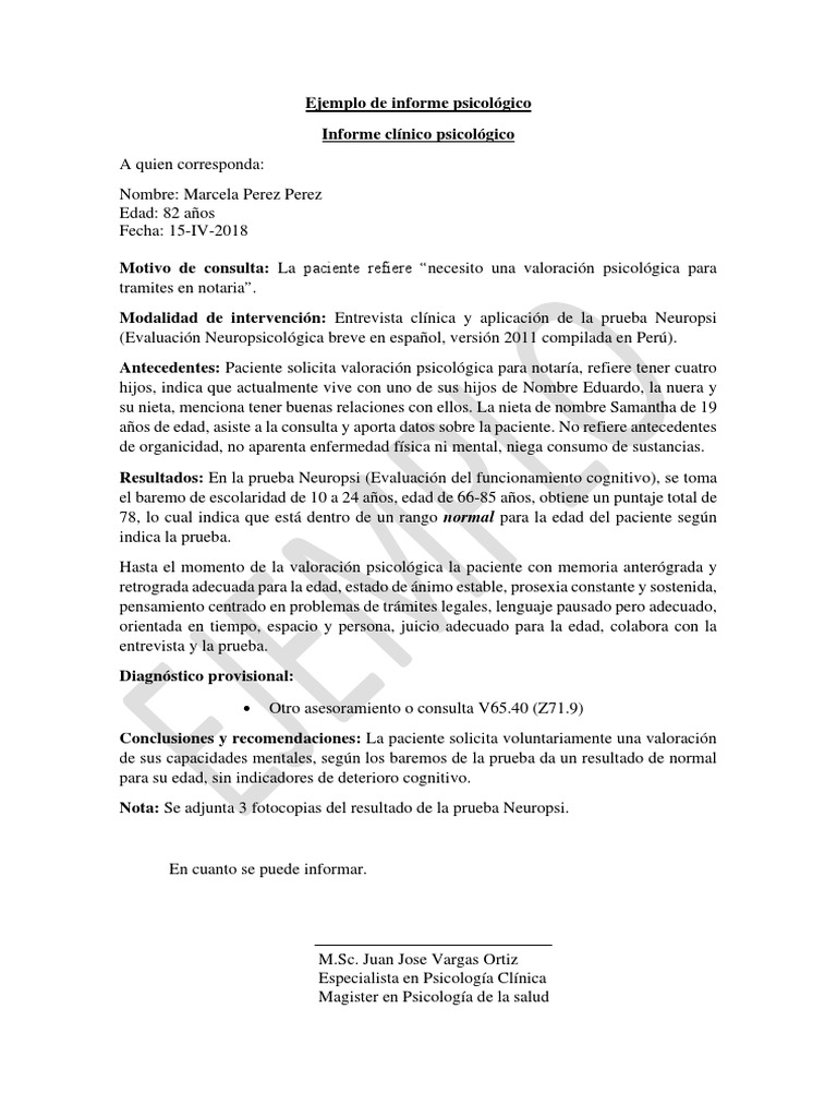 Ejemplo de Informe | PDF