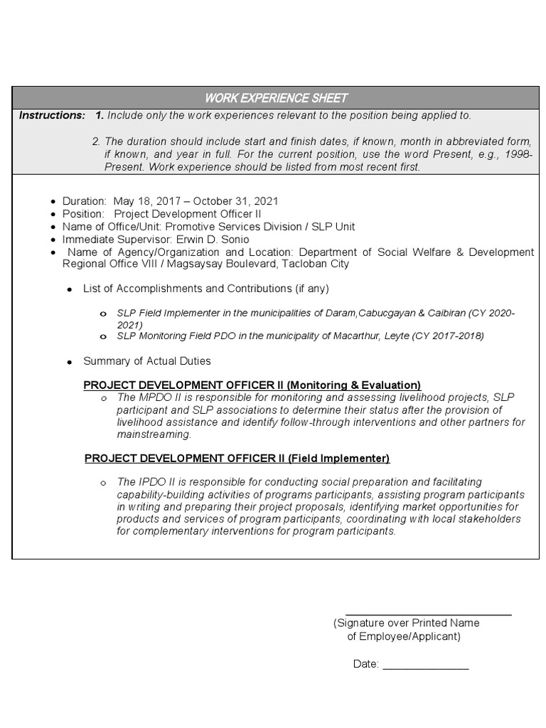 Worksheet - Experience - Sheet DAR | PDF