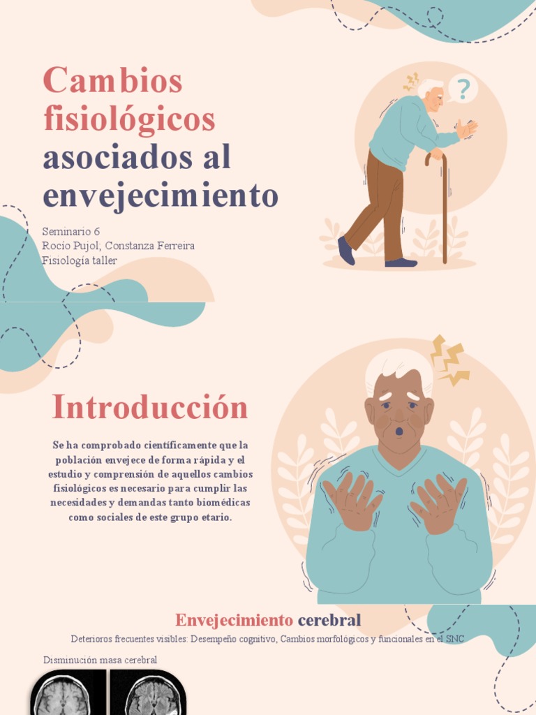 Cambios Fisiologicos Asociados Al Envejecimiento SEMINARIO 6 | PDF | Riñón | Envejecimiento