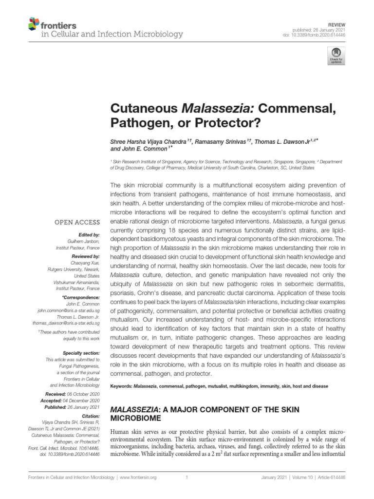 (Journal) Cutaneous Malassezia Commensal, Pathogen, or Protector | PDF | Immune System | Microbiota