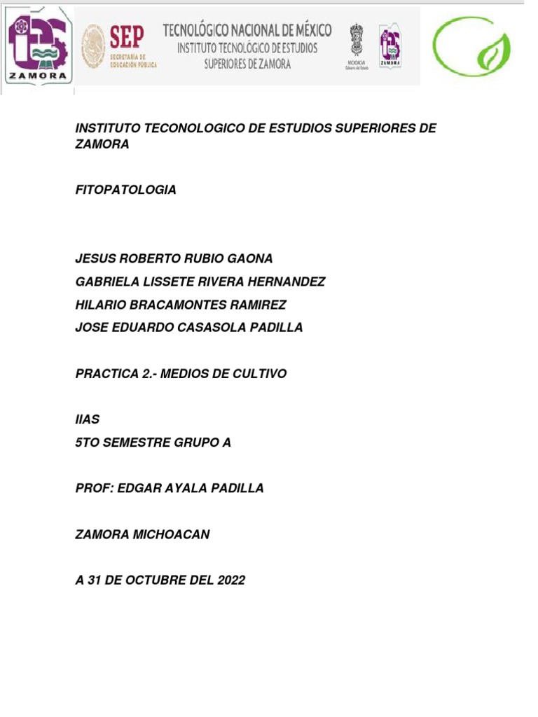 Reporte de Practica 2 Fito | PDF | Química