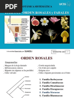 Familia Arecaceae | PDF | Arecaceae | Plantas