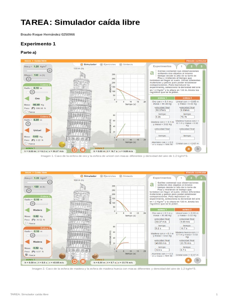 TAREA Simulador Cada Libre | PDF