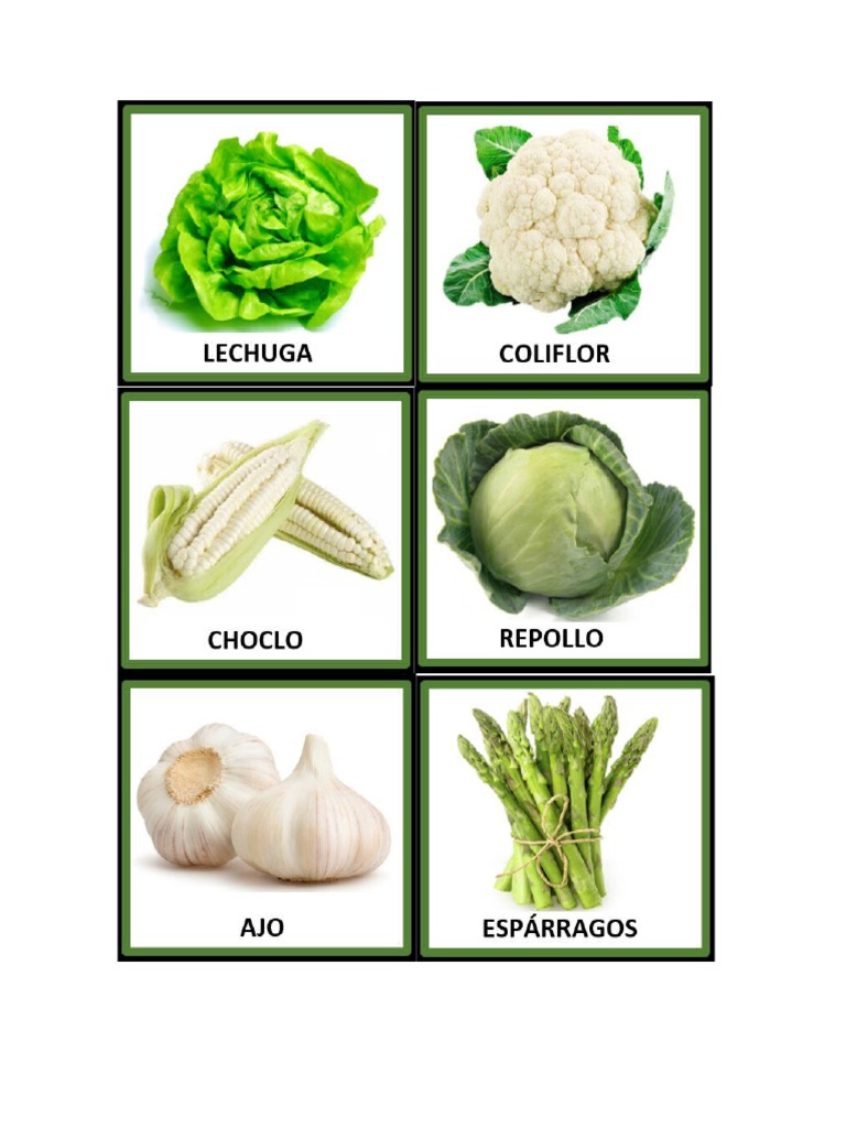 Verduras Pdf