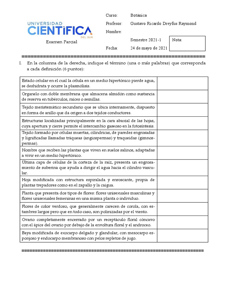 Botánica - Examen Parcial 2021-1 (2B) | PDF | Hoja | Flores