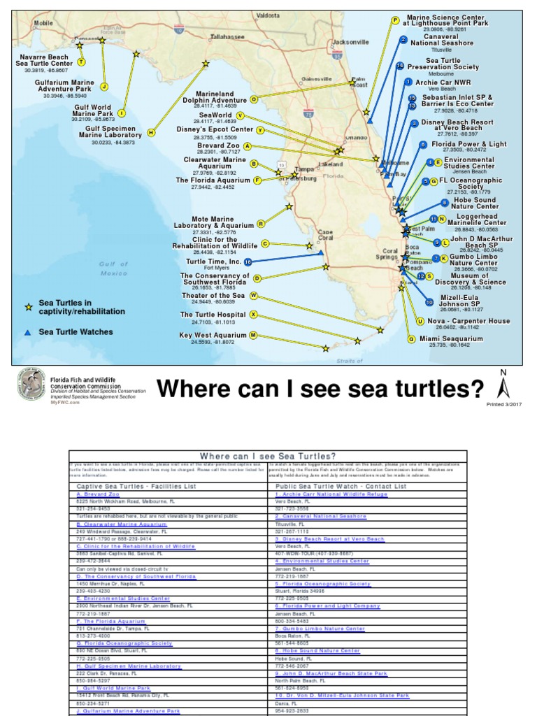 GIS Sea Turtle Observations | PDF