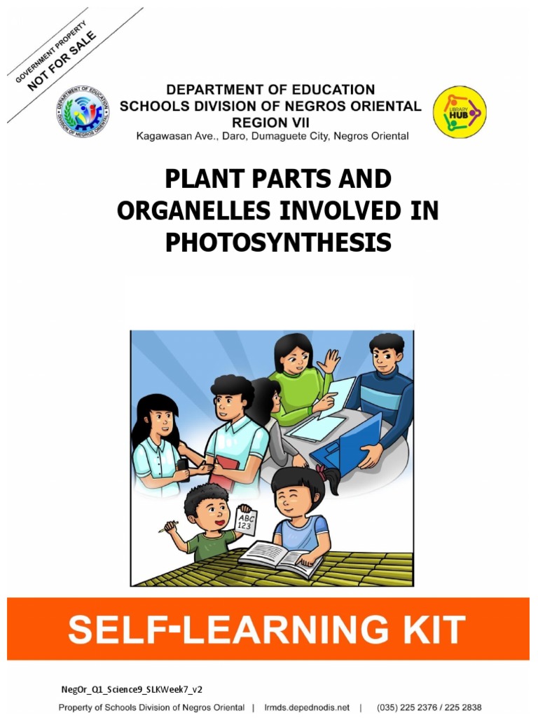 Q1 Week 7 Biology G9 | PDF | Chloroplast | Photosynthesis