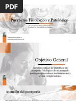 Código Rojo en Obstétricia | PDF | Enfermedades y trastornos humanos ...