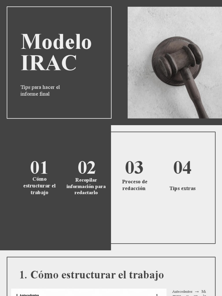 Tips Modelo Irac | PDF