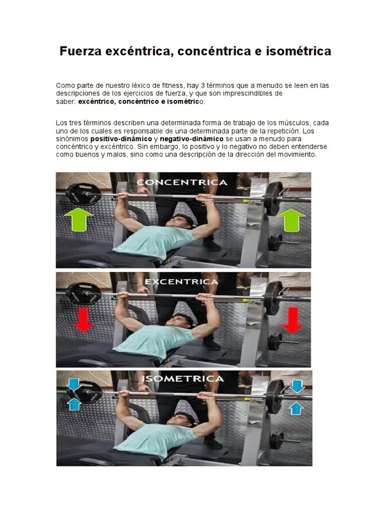 Fuerza Excéntrica, Concentrica y Isometrica | PDF | Entrenamiento de ...