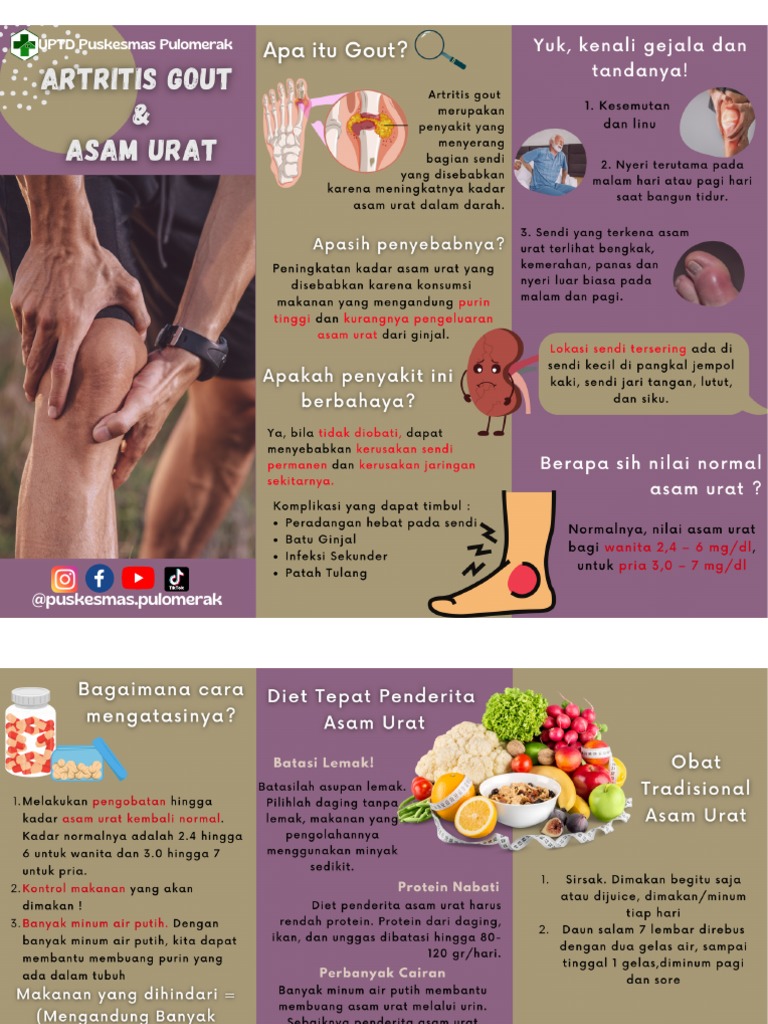 Asam Urat | PDF