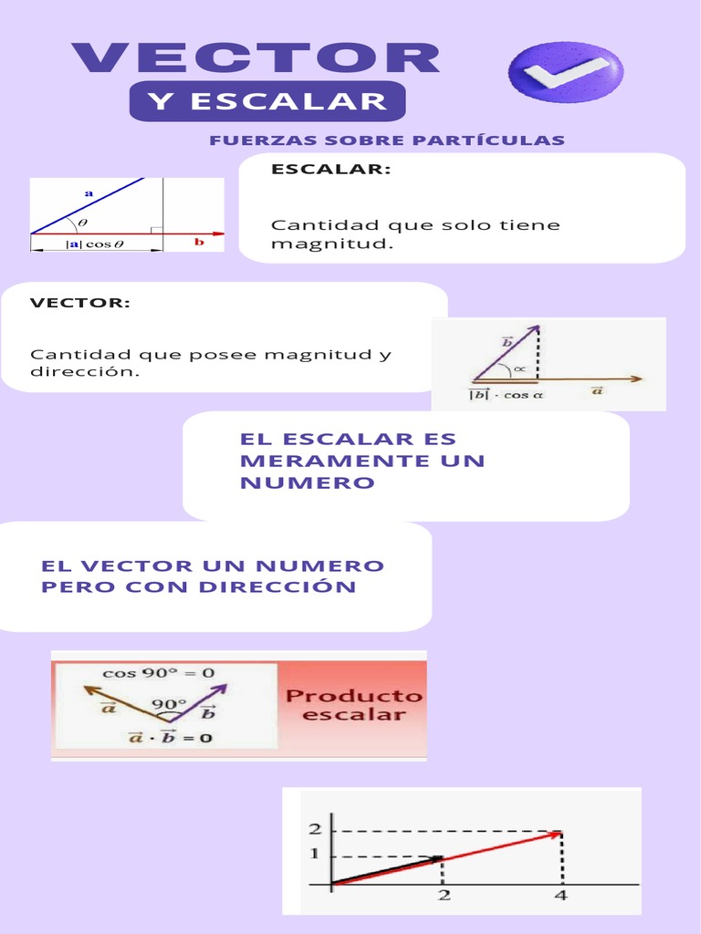 Vector Escalar | PDF