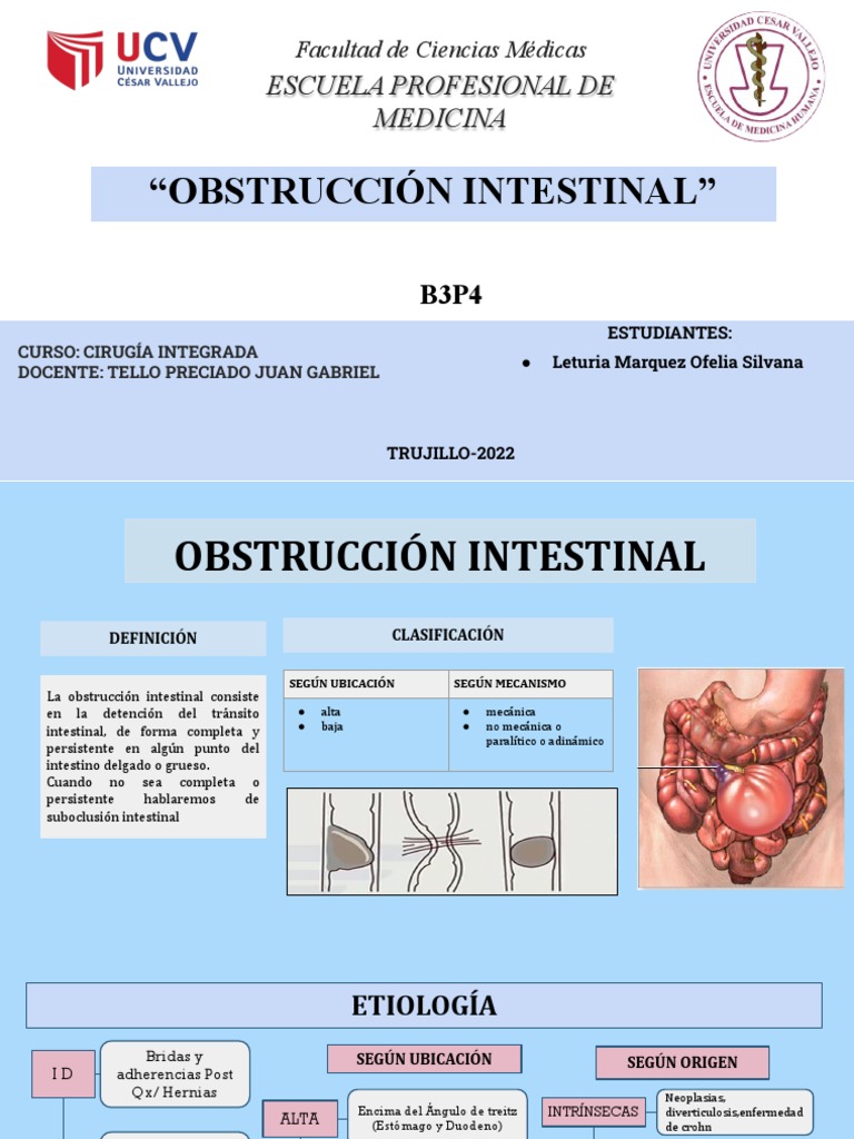 Obstruccion Intestinal | PDF | Tracto gastrointestinal | Intestino delgado