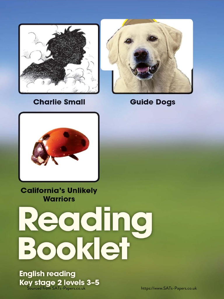 ks2 English 2015 Reading Booklet | PDF