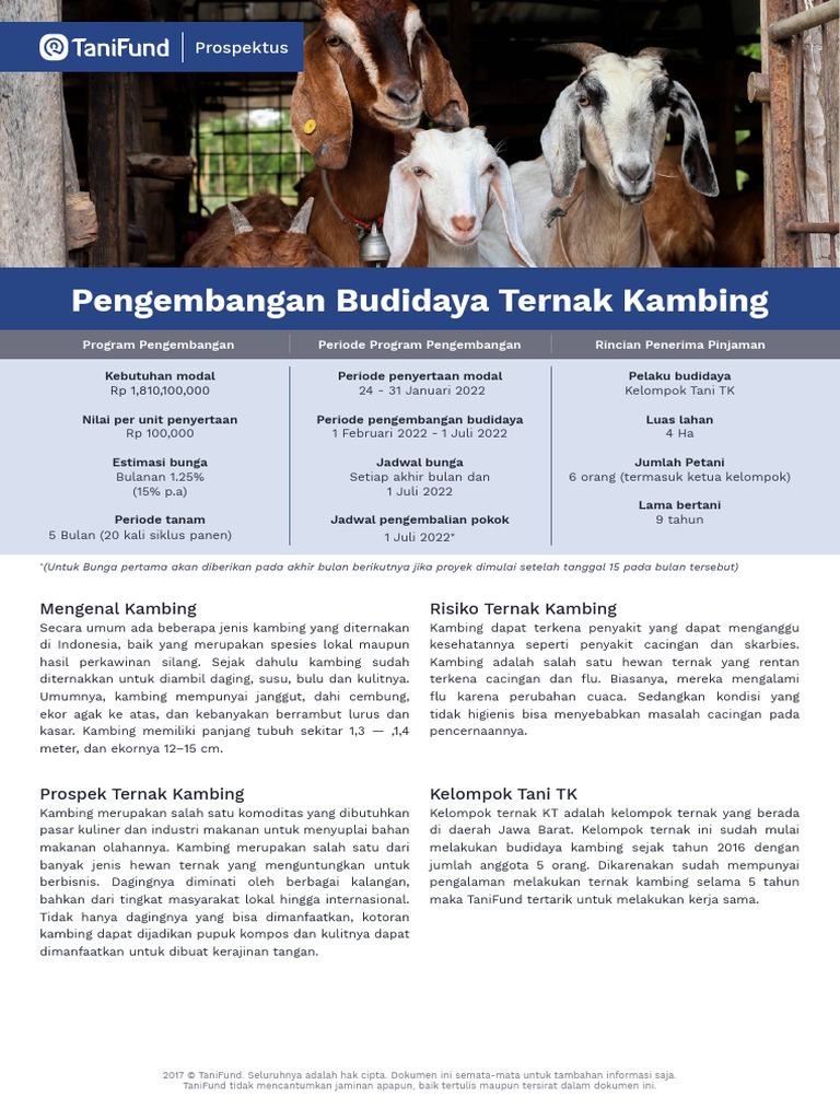 240122115402-Prospectus KAMBING | PDF