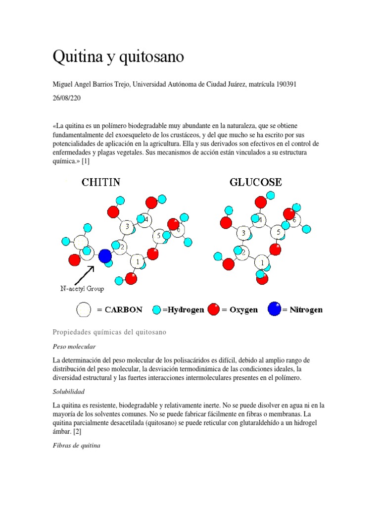 Estructura y propiedades del quitosano | PDF | Física Aplicada e ...