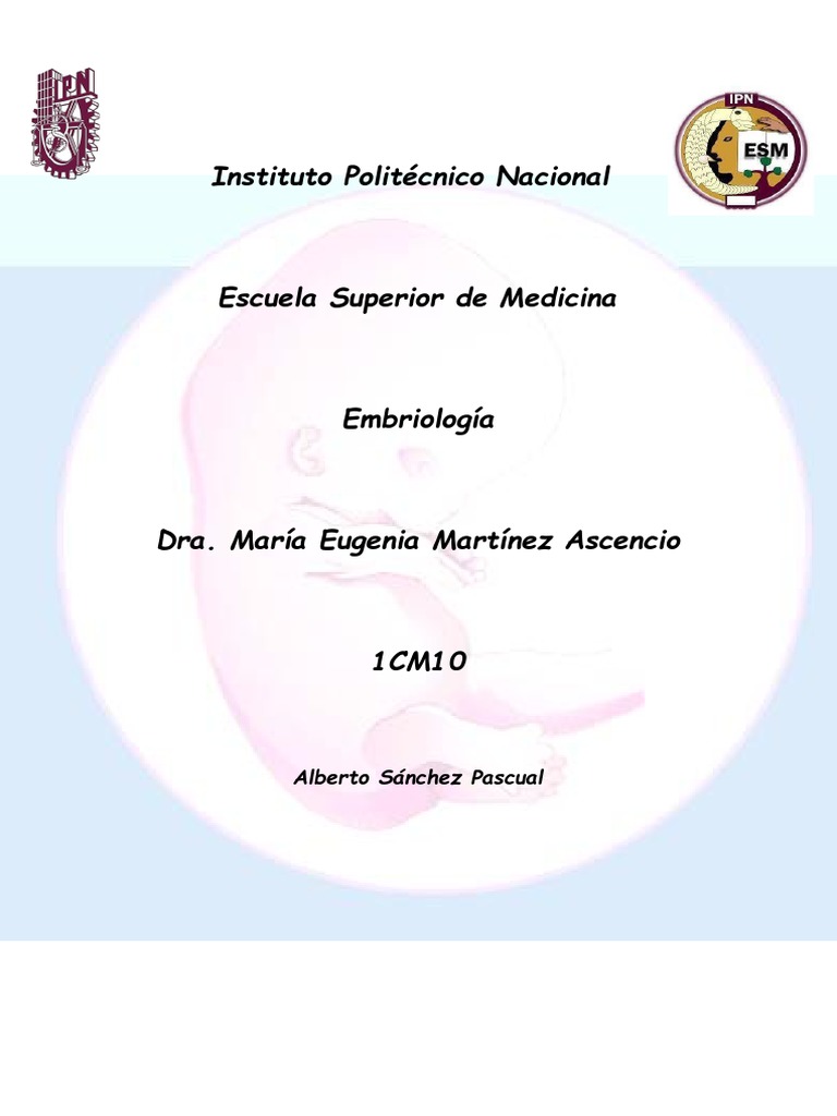 Placa Coriónica y Turricefalia en Embriología | PDF | Placenta ...