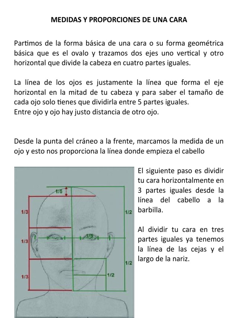 Medidas y Proporciones de Una Caraa | PDF