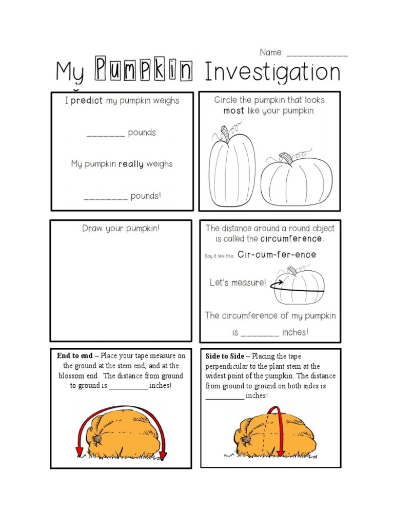 Pumpkin Estimation WS | PDF