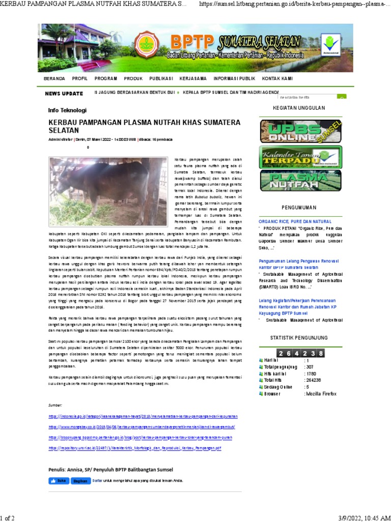 Kerbau Pampangan Plasma Nutfah Khas Sumatera Selatan | PDF