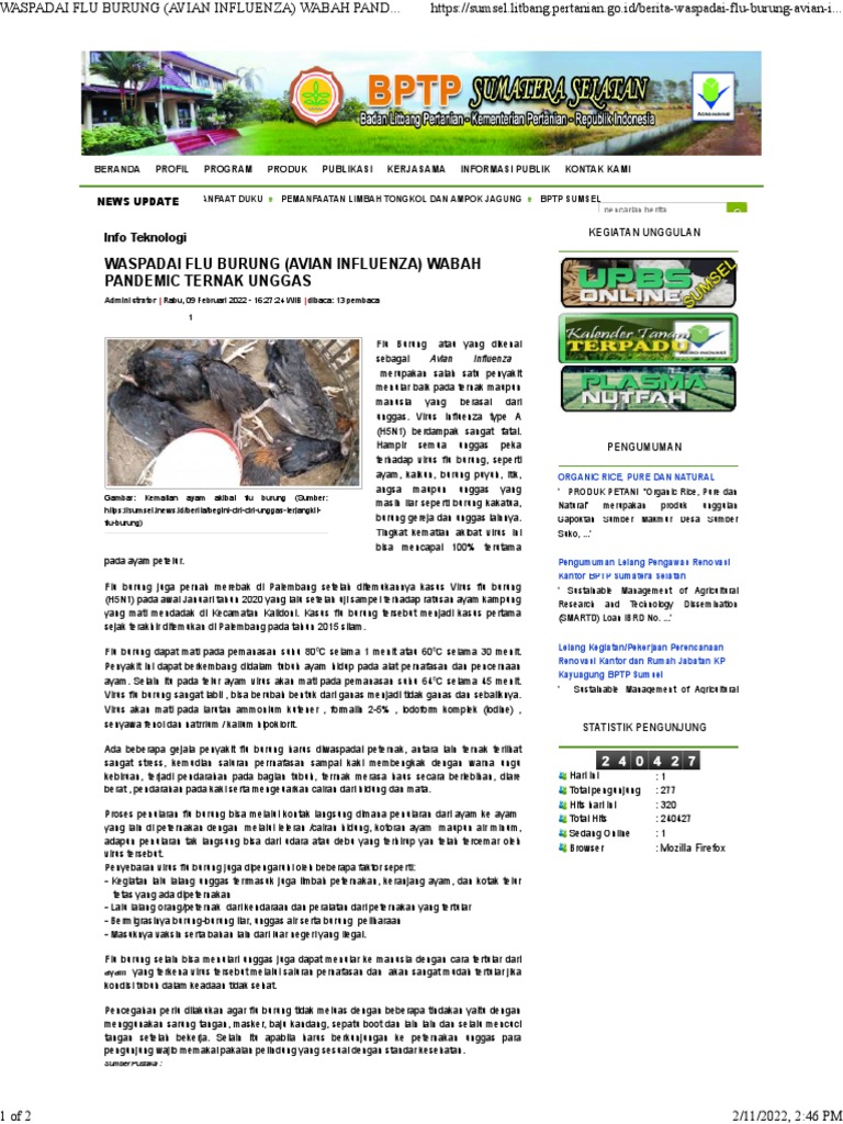 Waspadai Flu Burung (Avian Influenza) Wabah Pandemic Ternak Unggas | PDF