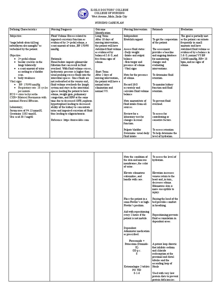 Nursing Care Plan | PDF | Kidney | Physiology
