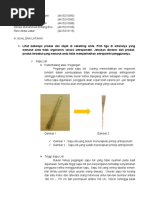 Panduan Penggunaan SPADA Untirta | PDF