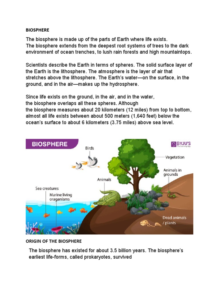 Understanding the Earth's Biosphere | PDF | Earth | Natural Environment