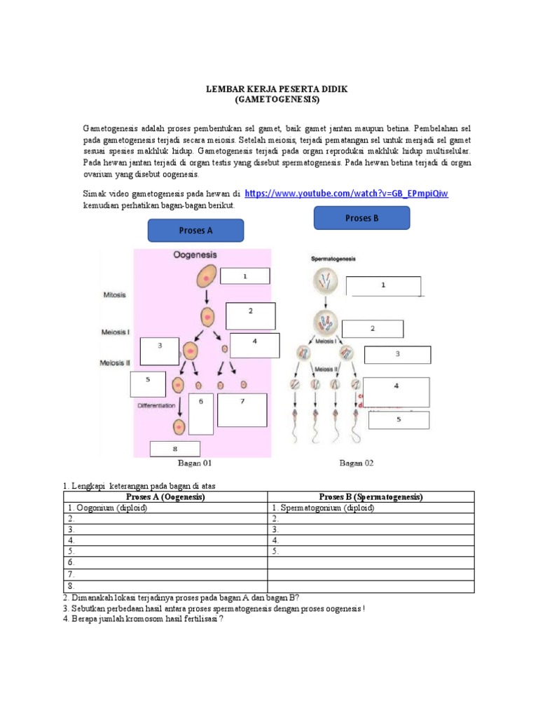 LKPD3 Gametogenesis | PDF